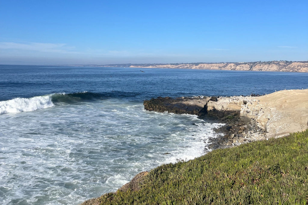 What to Do in La Jolla: A Curated Travel Guide by Sofia Hermanny Burity